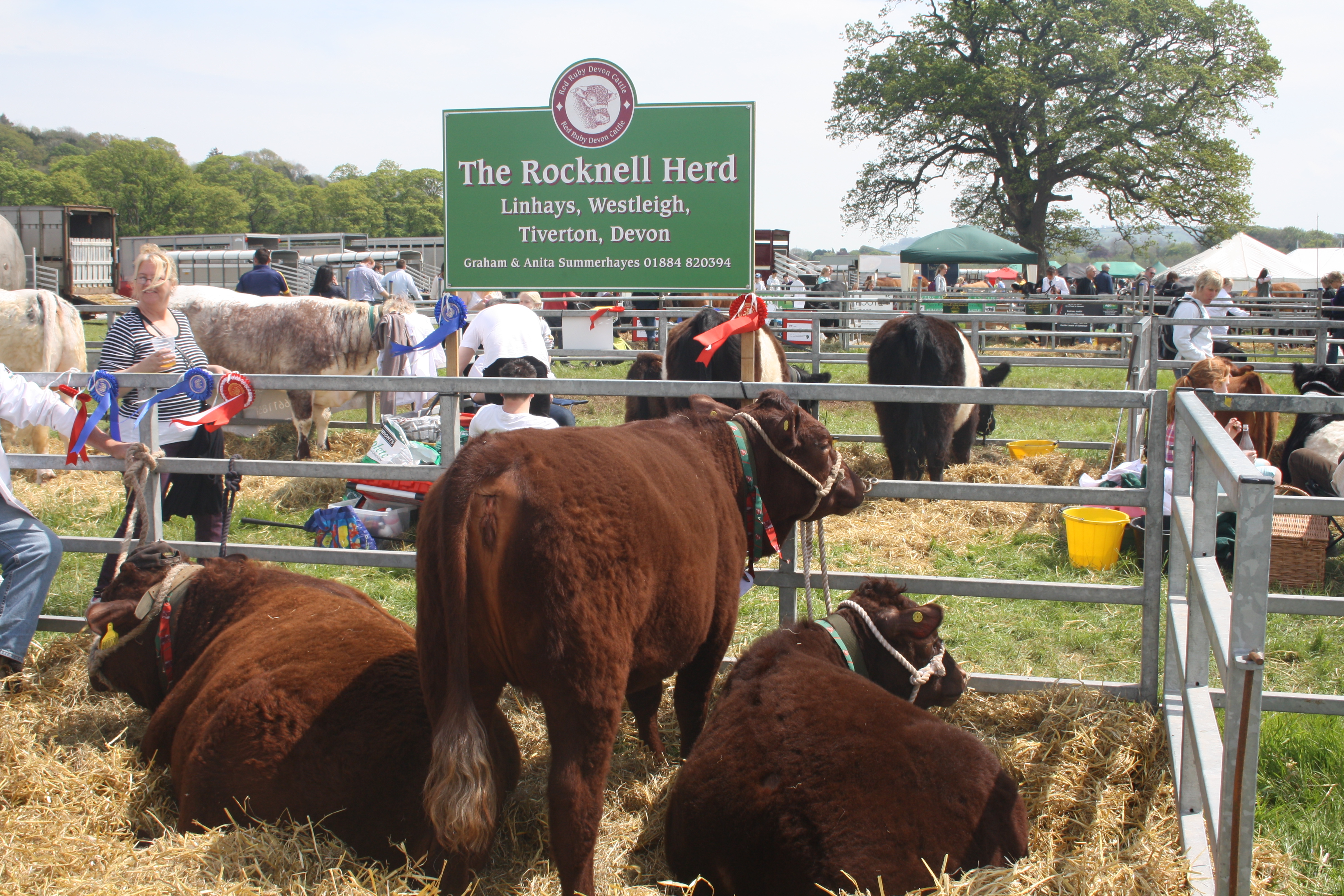 North Som Show 2014 336 | North Somerset Agricultural Society