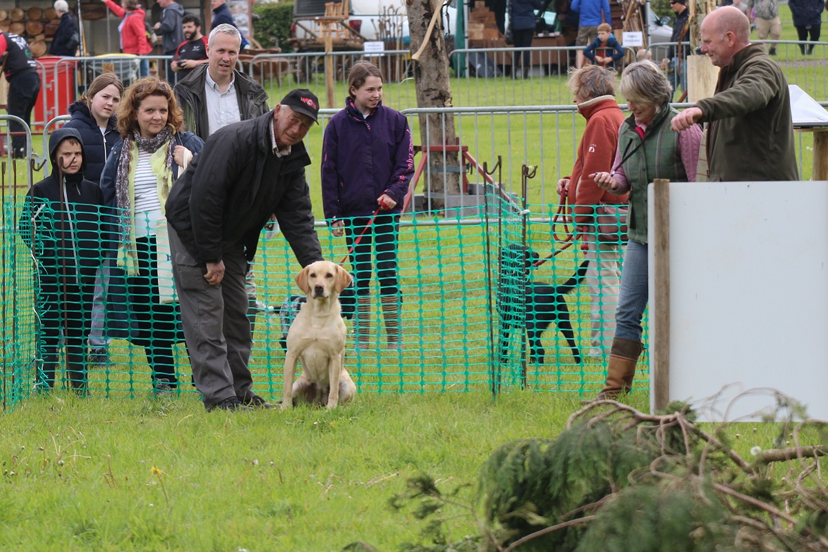 Canines – North Somerset Agricultural Society